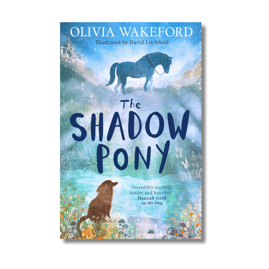 The Shadow Pony by Olivia Wakeford (author), David Litchfield ...